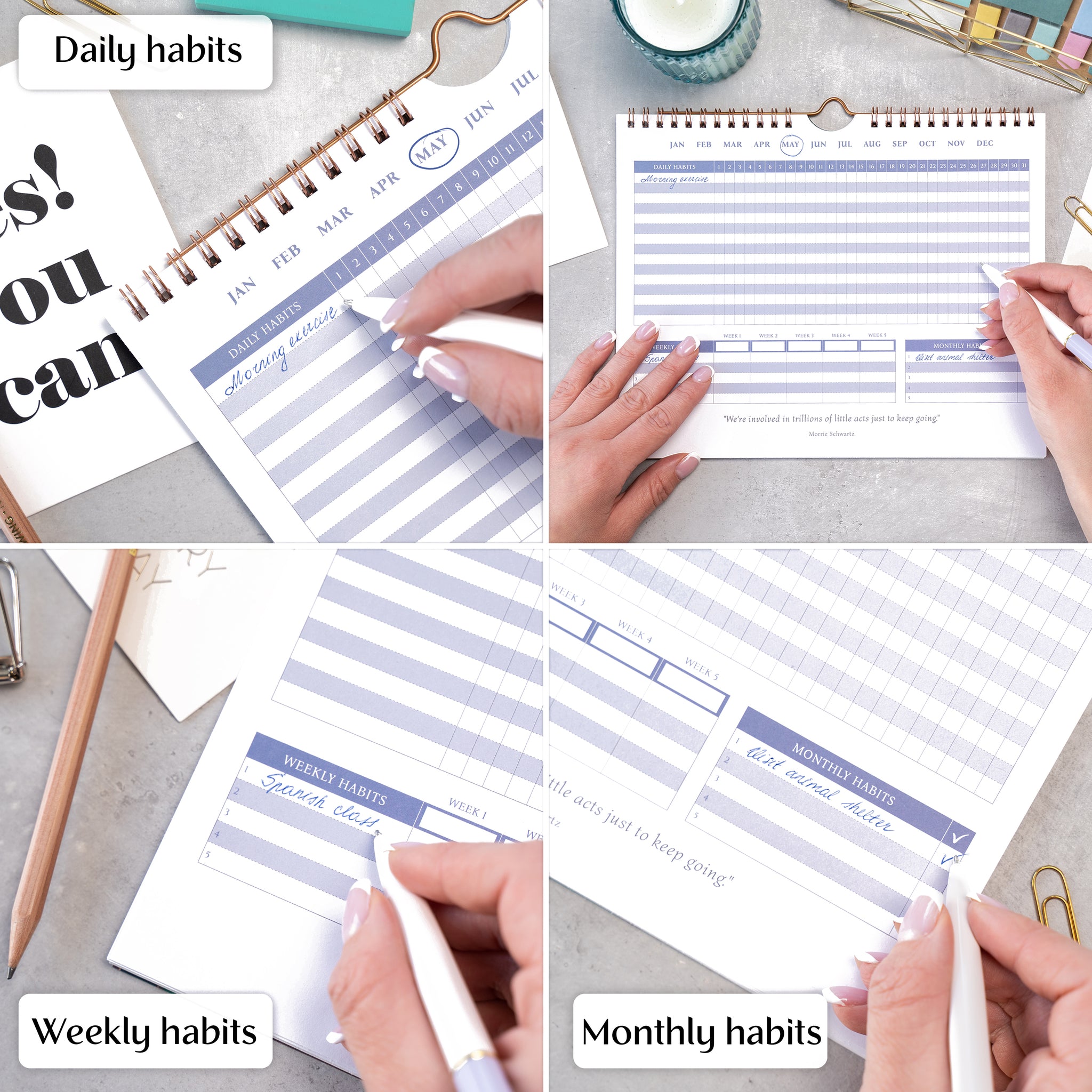 Habit Calendar – LEGEND